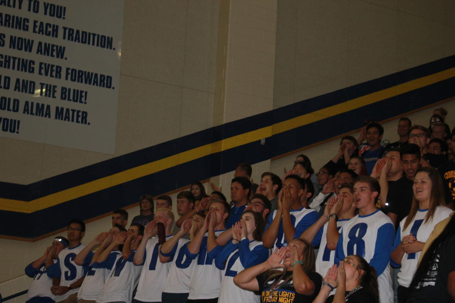 2017 Homecoming Pep Rally – CHS Student Connection